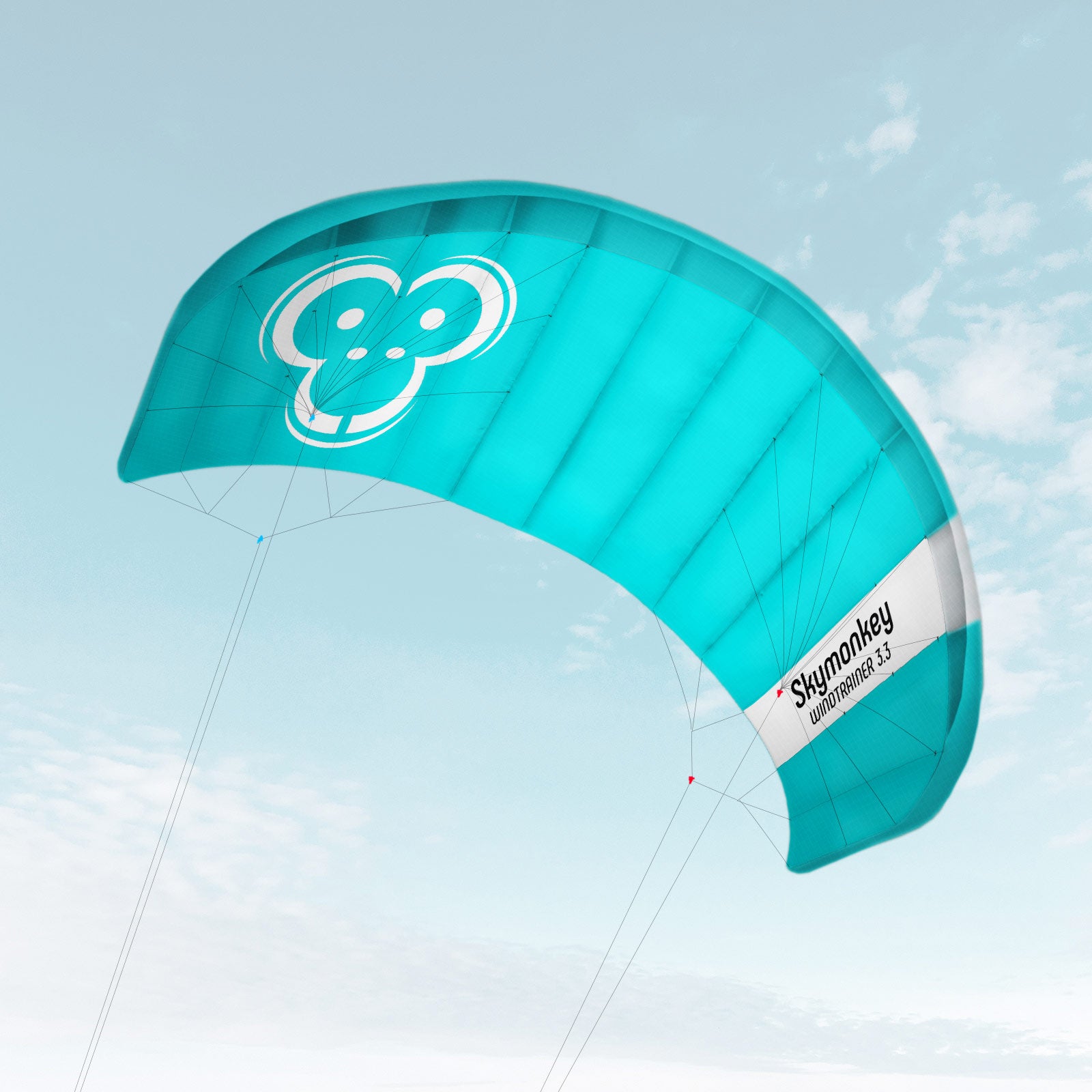 Trainerkite, Skymonkey Windtrainer Lenkmatte 🪁